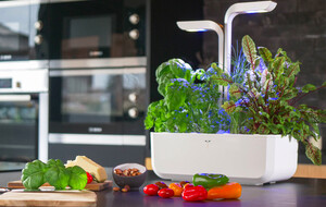 Véritable® Smart Garden - Autonomous Table-Top Garden - Touch of Modern