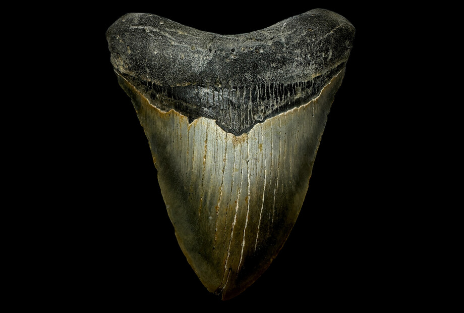 Kor Water Bottles - Tony Stark’s Water Bottle - Touch of Modern