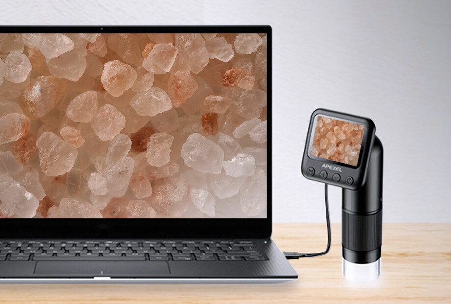 College Football Stadium Prints - Celebrate Your Team in Good Taste ...