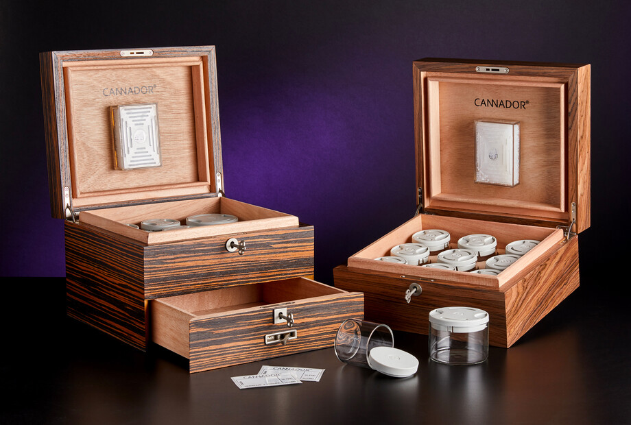 Touch of Modern | Modern Products & Styles